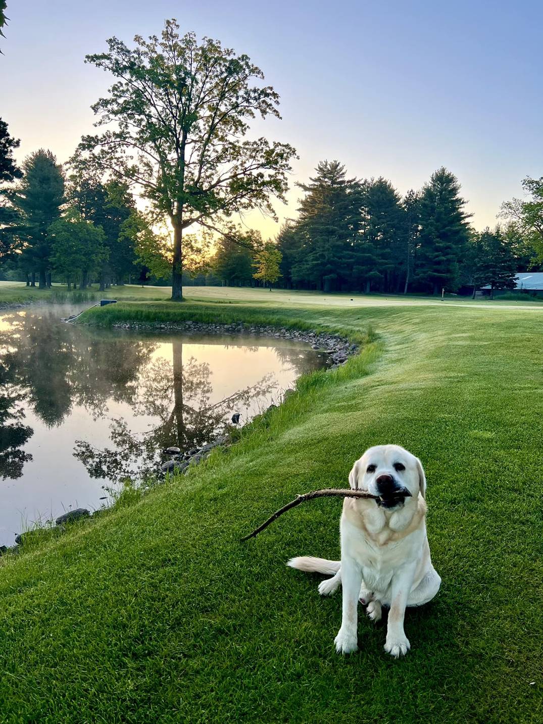 Ridges Golf Course And Banquet Facility - Wisconsin Rapids, WI
